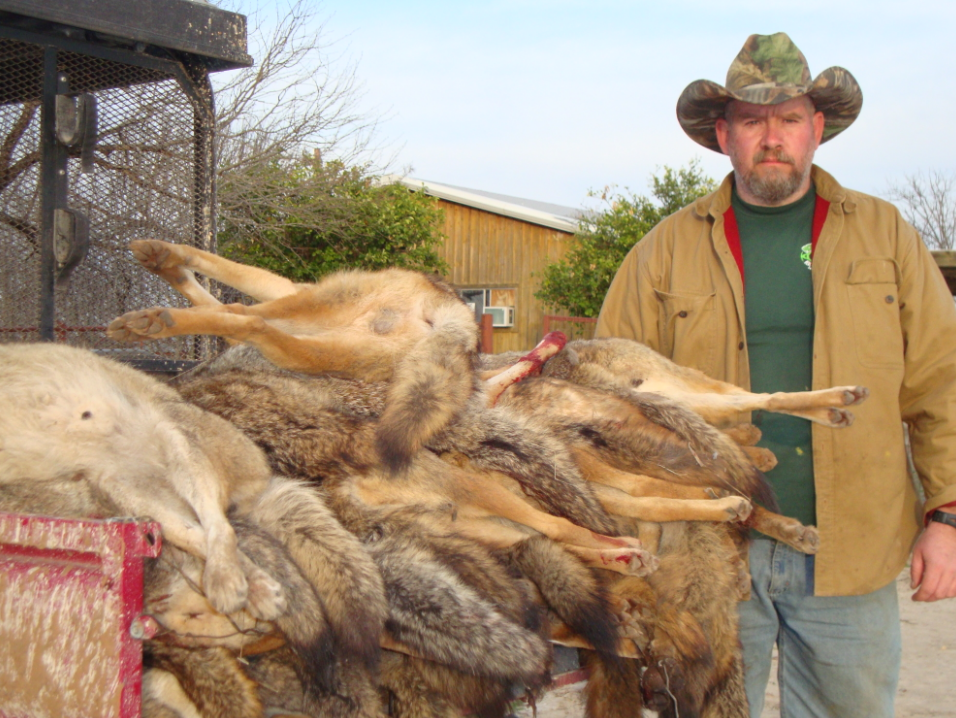 Trapping Lures – Predator Control Group